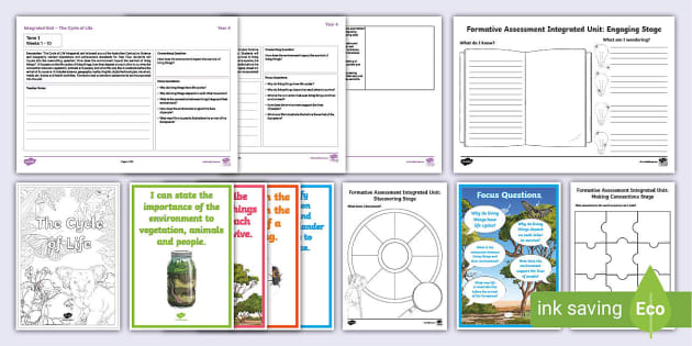 The Cycle of Life Yr 4 IU Display Pack (teacher made)