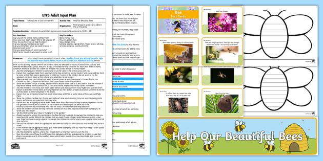 EYFS Help Our Beautiful Bees Adult Input Plan and Resource Pack