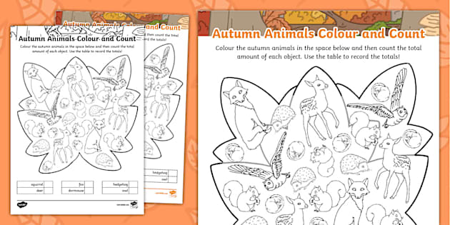 👉 Autumn Animals Colour and Count Activity Sheet - Twinkl