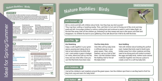 EYFS Nature Buddies: Birds | Outdoor Learning | Twinkl