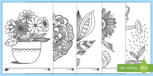 Plant Colouring | Colouring Sheets | Twinkl (teacher made)