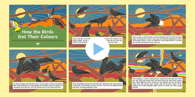 FREE! - Aboriginal Dreaming How the Birds Got Their Colours PowerPoint