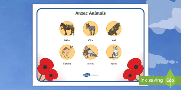 Te Reo Māori ANZAC Animals Word Mat (teacher made) - Twinkl