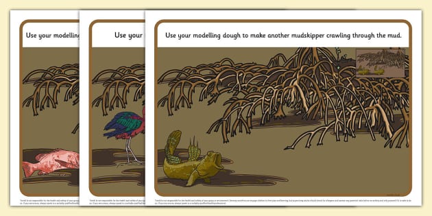 Australian Mangrove Animals Modelling Dough Mats - Twinkl