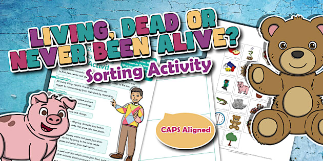 Foundation Phase Life Skills (nauczyciel wykonał) - Twinkl