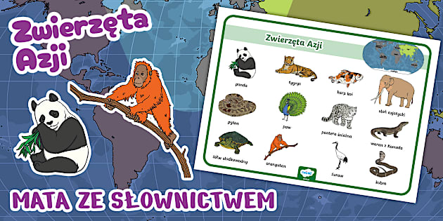 Zwierzęta Azji | Mata ze słownictwem