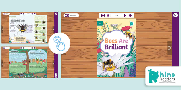 Level 6c Reading Scheme Book: Bees Are Brilliant - Twinkl