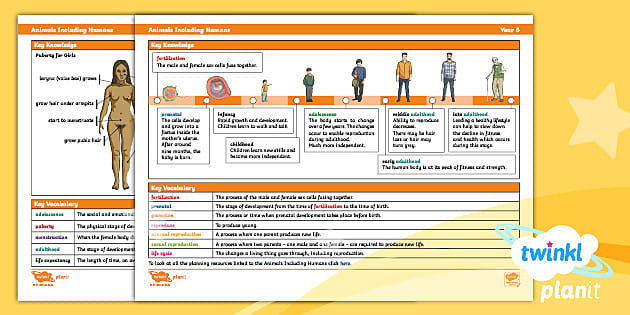 Science Knowledge Organiser: Animals Including Humans Year 5