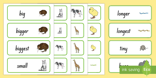 Size Word Cards (teacher made) - Twinkl