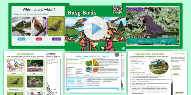 Outdoor Explorers | Nature Bird Activity | Twink - Twinkl