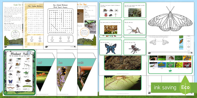 New Zealand Minibeasts Activity Pack (teacher made)