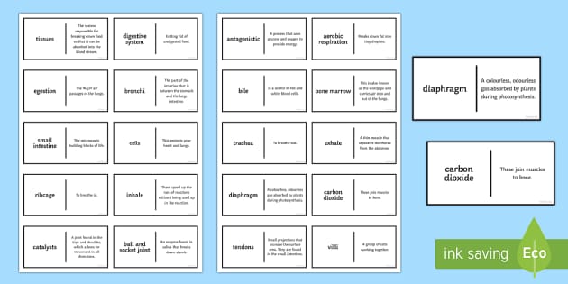 Body Systems Patience Glossary Activity (teacher made)