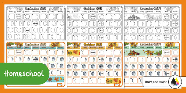* NEW * Moon Phases Calendar Printable | Fall | Twinkl USA