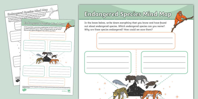 Endangered Species Mind Map (Teacher-Made) - Twinkl