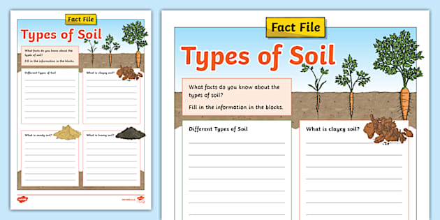 NS and Tech: Surface of the Earth: Soil Types: Fact File