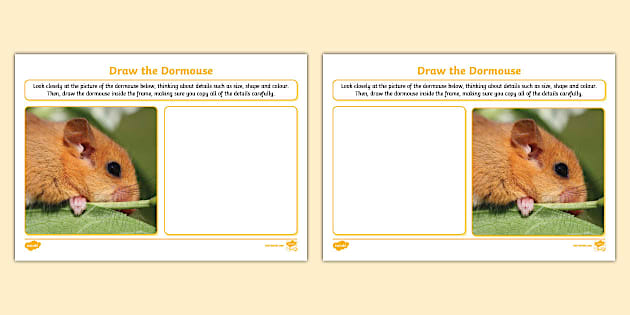 * NEW * Draw the Dormouse Worksheet - Twinkl Art - Twinkl