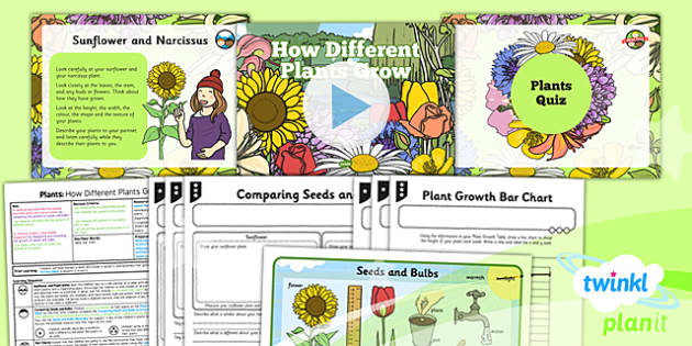 Science: Plants: How a Plant Can Grow Year 2 Lesson Pack 6