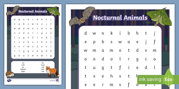 KS1 Nocturnal Animals Word Search (teacher made) - Twinkl
