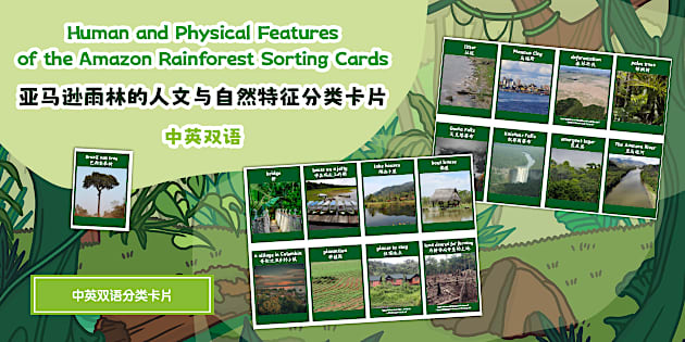 亚马逊雨林的人文与自然特征分类卡片 中英双语