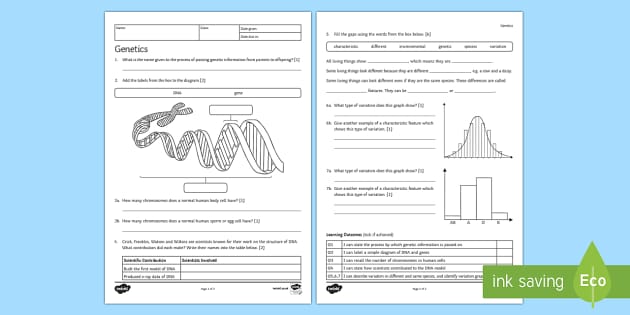 Genetics Homework Worksheet / Worksheet (teacher made)