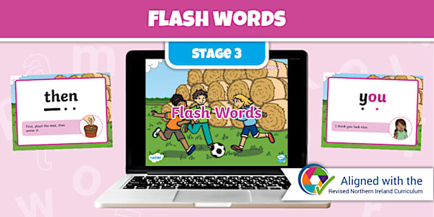 Stage 3 Flashcard PowerPoint