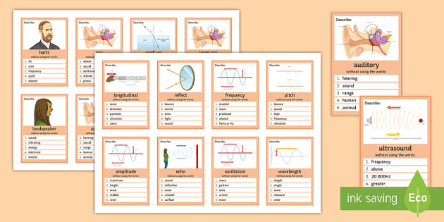 Sound Waves Can You Guess? Cards (teacher made) - Twinkl