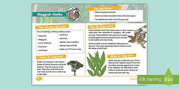 KS1 Sloths Fact File | Animals and Wildlife - Twinkl
