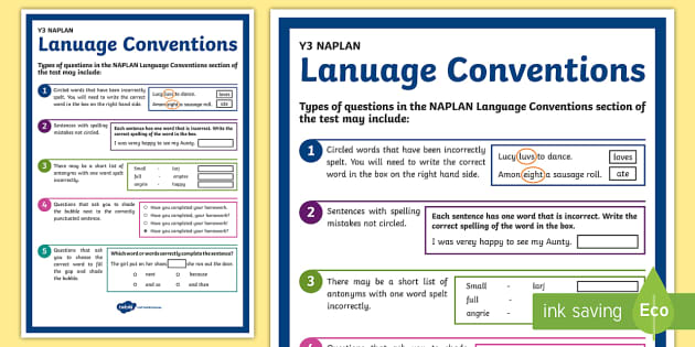 Y3 NAPLAN Language Conventions Display Poster teacher Made 