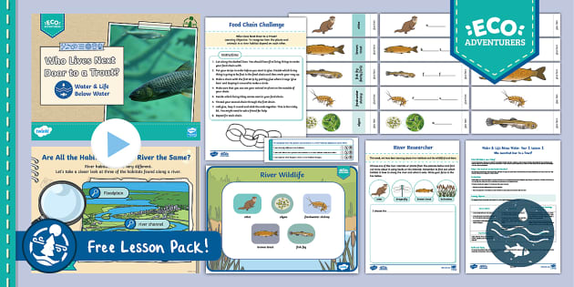 FREE! - Year 2 Water & Life Below Water: Lesson 2 - Why Did People ...