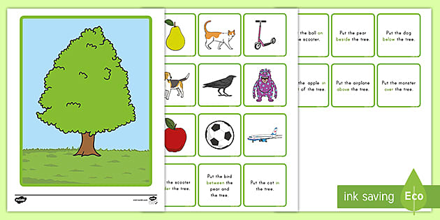 Positional Language Tree Game (teacher made)