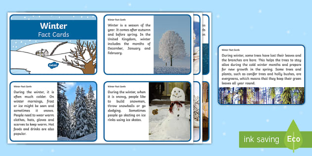 EYFS Winter Fact Cards (teacher made)