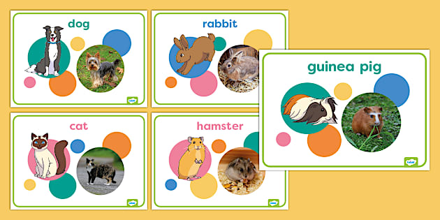 Originals First Words Posters: Pets (teacher made) - Twinkl