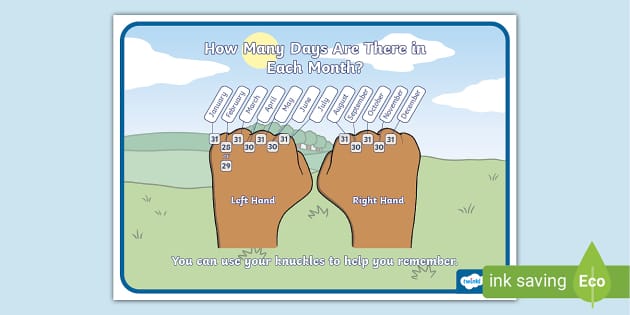 Days In A Month Using Knuckles Display Poster teacher Made 
