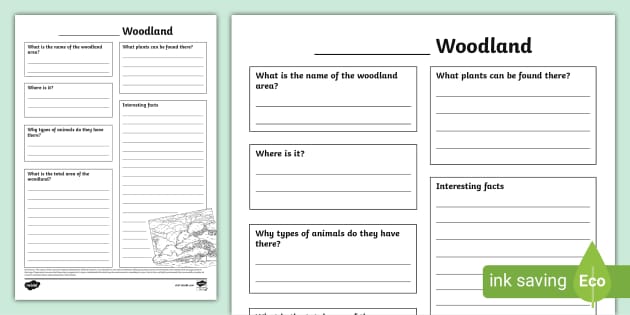 Woodland Fact File Template,woodland habitat (teacher made)