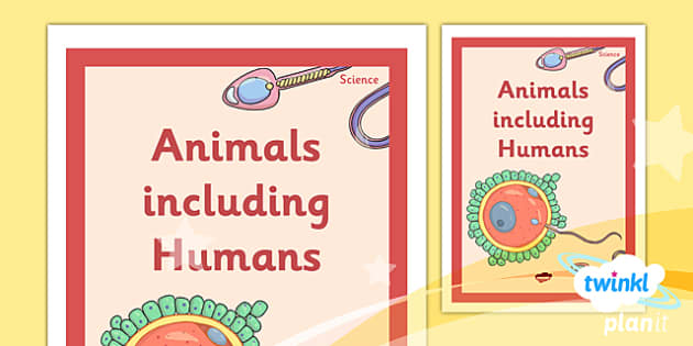 Science: Animals Including Humans Year 5 Unit Book Cover