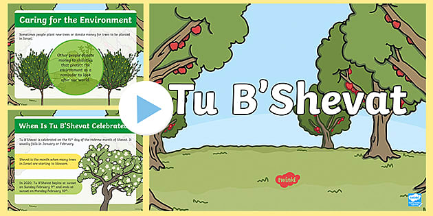 Tu B'Shevat PowerPoint KS1 (teacher made) - Twinkl