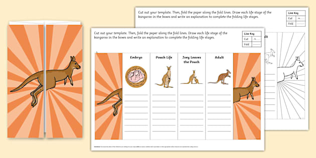 Kangaroo Folding Life Stages Template (Teacher-Made)