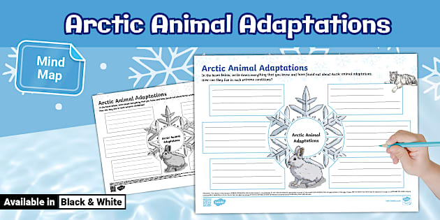 * NEW * Arctic Animals Adaptations Mind Map (teacher made)