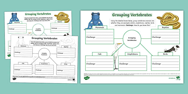 Grouping Vertebrates Mind Map (teacher made) - Twinkl Grouping Vertebrates Mind Map (teacher made) - Twinkl