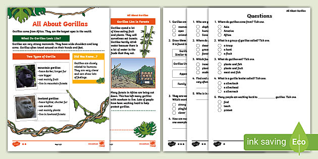 KS1 All About Gorillas Comprehension - Primary Resources