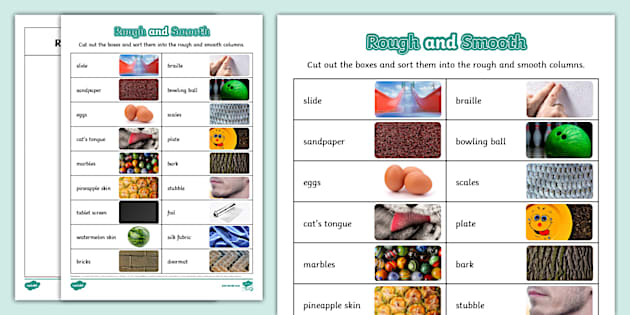 Rough and Smooth Photo Sorting Activity - Twinkl