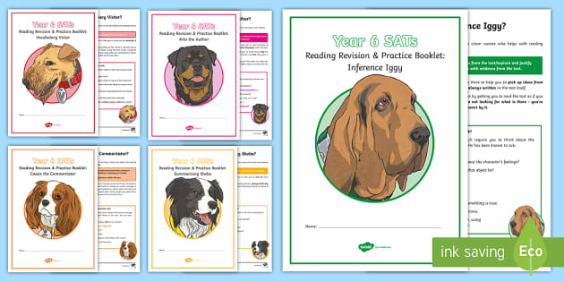 Year 6 SATs Survival: Reading Revision & Practice Booklets Bumper Pack