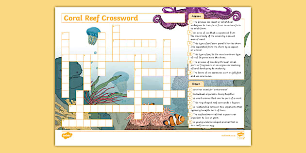 Coral Reef Crossword (teacher made) - Twinkl