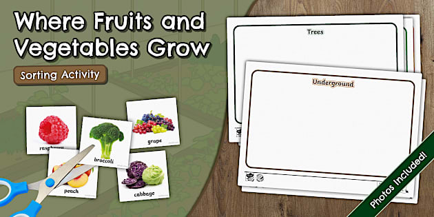 Where Fruits and Vegetables Grow Sorting Activity