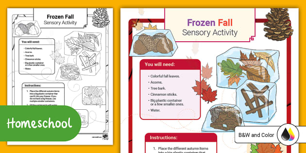 Frozen Fall Sensory Activity Guidance (teacher made)