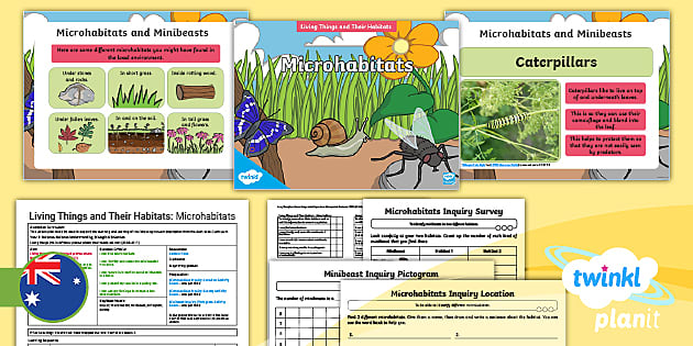 Year 1 Science Living Things and Their Habitats Lesson 3