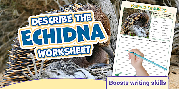 Describe the Echidna Worksheet