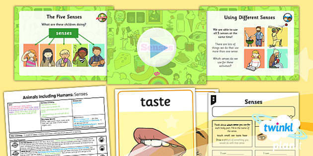 Science: Animals Including Humans: Senses Year 1 Lesson Pack 2
