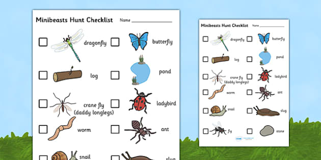Minibeast Hunt Checklist - hunt checklist, minibeasts, insects