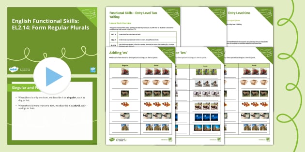 English Functional Skills: EL2.14: Form Regular Plurals